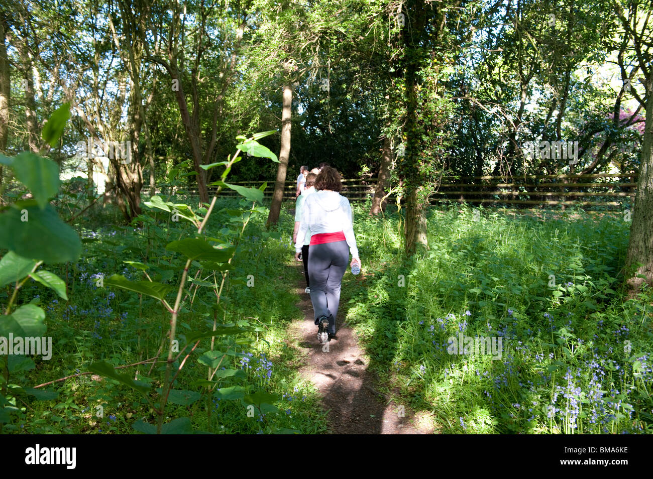 Country Walk at Champneys Stock Photo - Alamy
