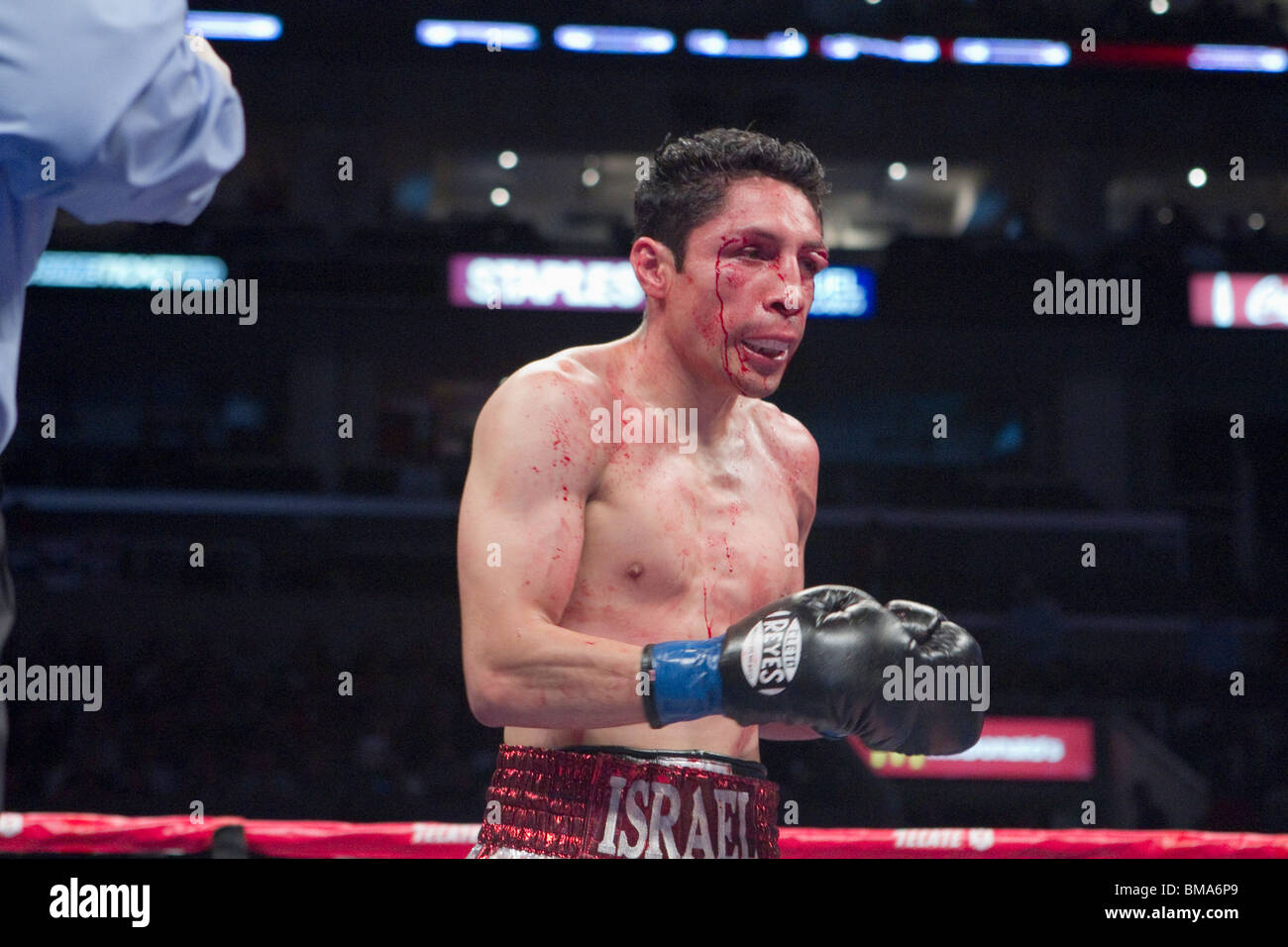 Israel Vazquez vs Rafael Marquez Stock Photo - Alamy