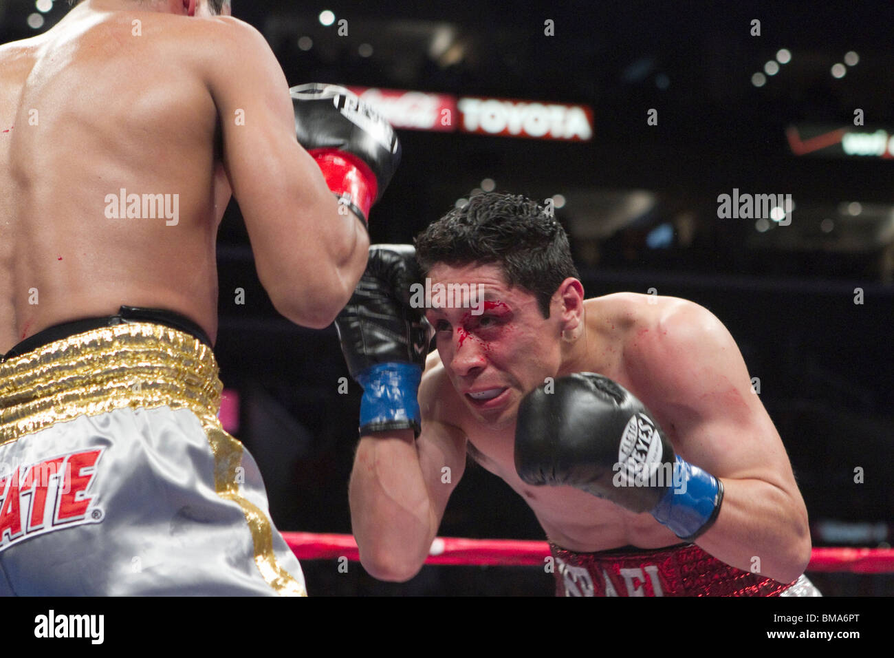 Israel Vazquez vs Rafael Marquez Stock Photo - Alamy