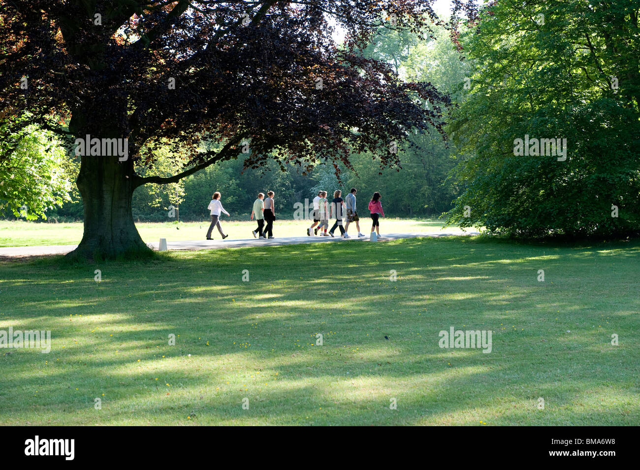 Country walk field trees hi-res stock photography and images - Alamy