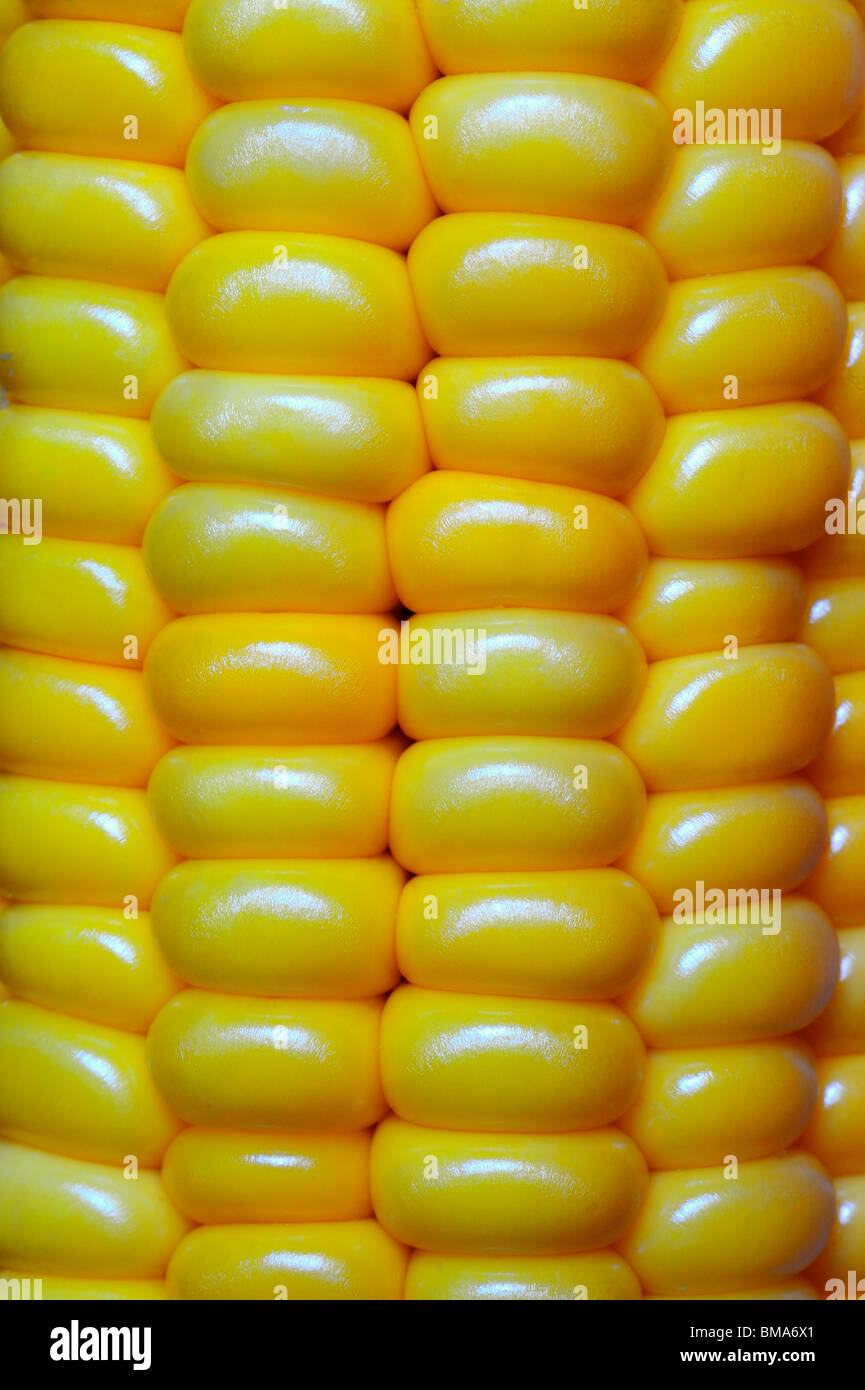 Corn on the Cob Stock Photo - Alamy