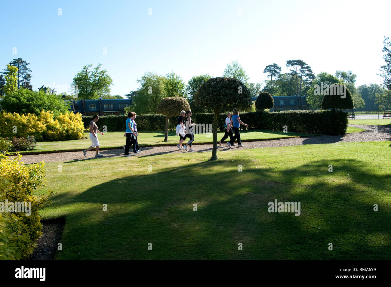 Country walk field trees hi-res stock photography and images - Alamy