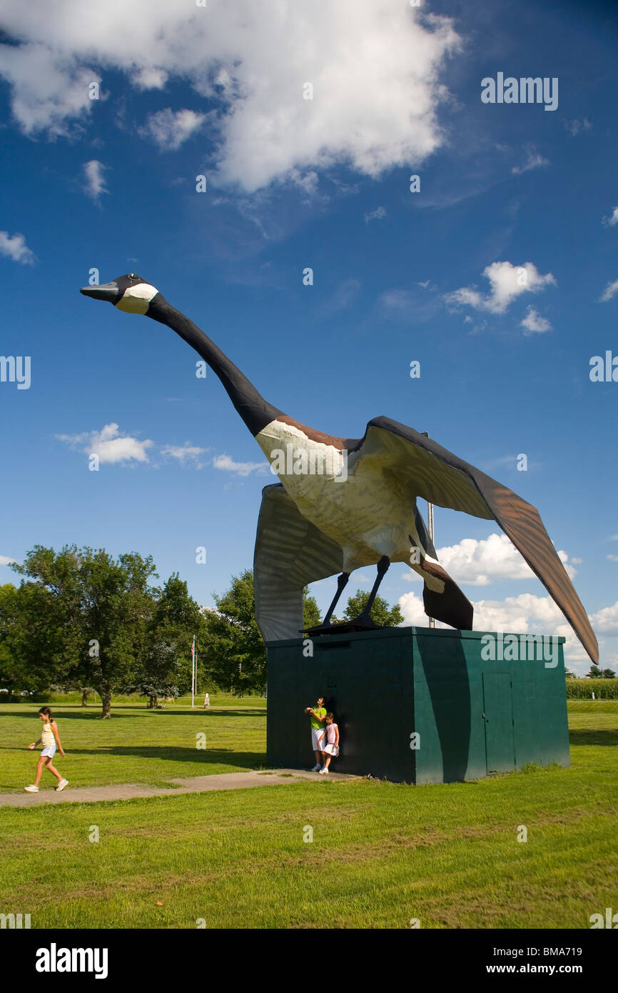 Maxie - World's Largest Goose Stock Photo - Alamy
