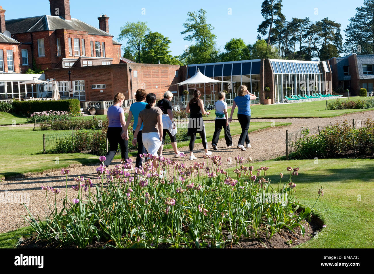 Country Walk at Champneys Stock Photo - Alamy