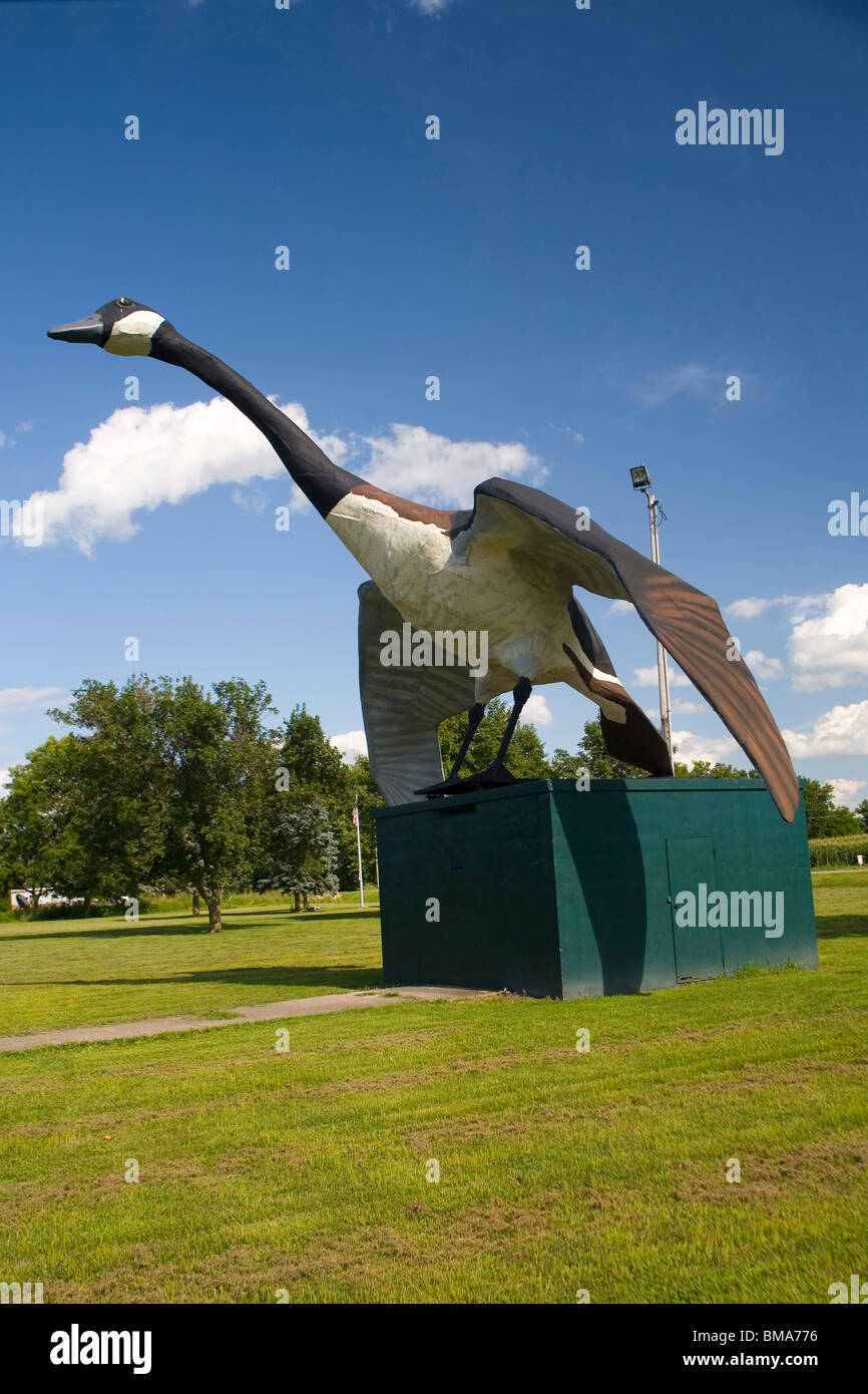 Maxie - World's Largest Goose in Sumner MO Stock Photo - Alamy