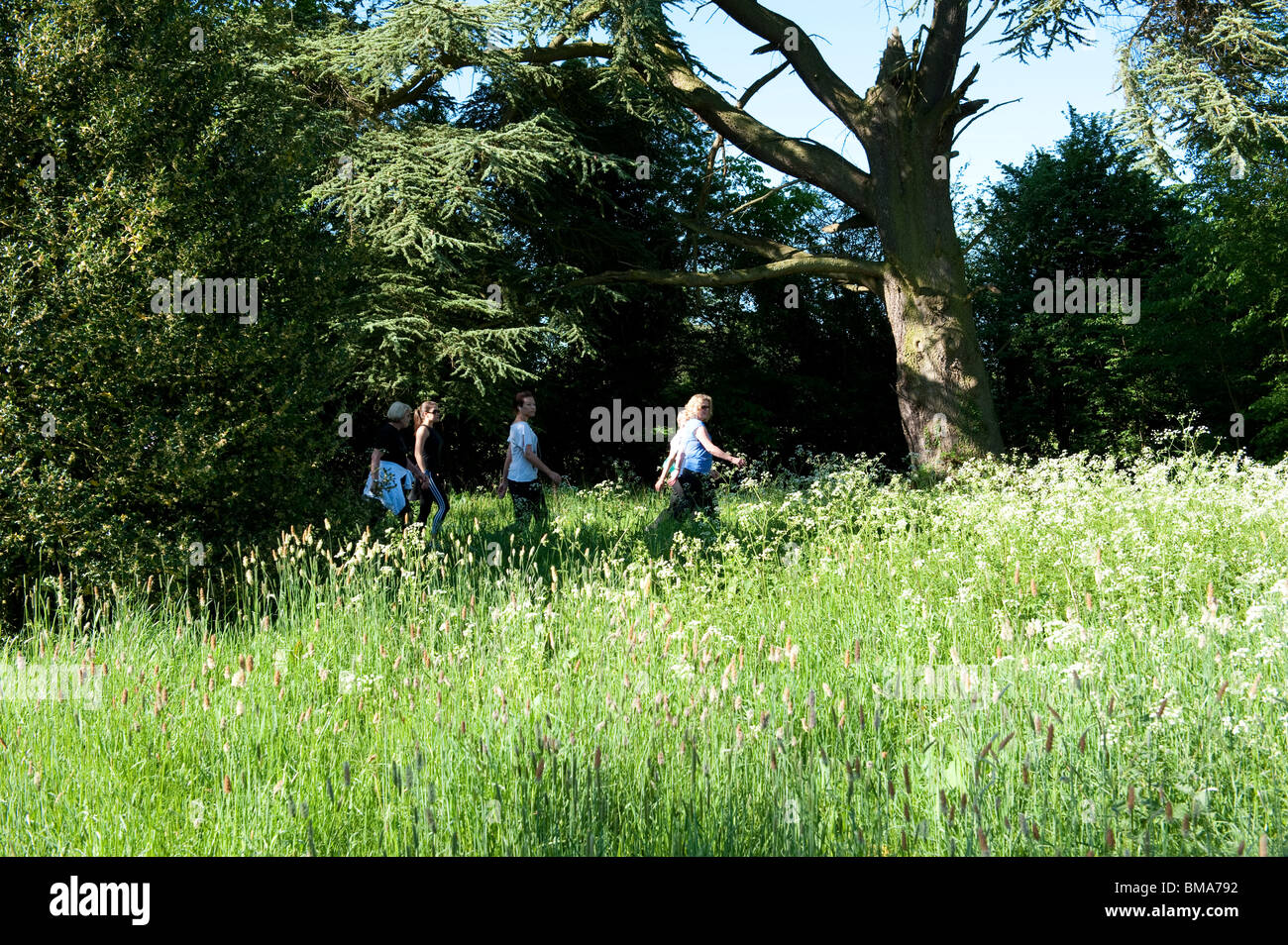 Country walk field trees hi-res stock photography and images - Alamy
