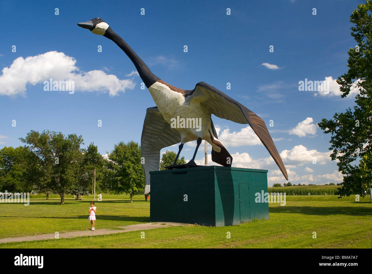 Maxie - World's Largest Goose Stock Photo - Alamy