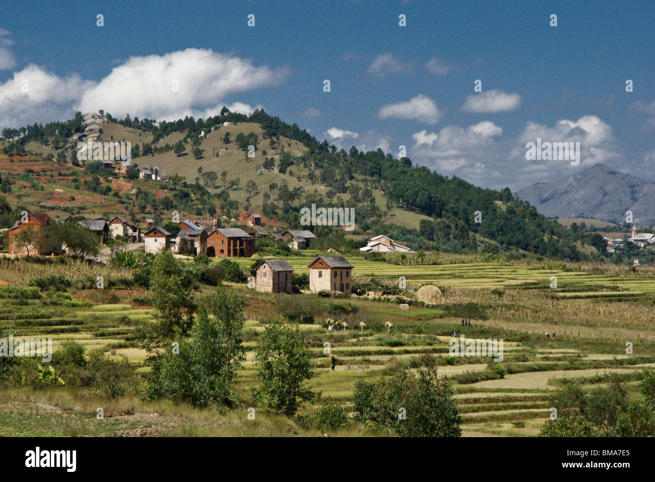 Betsileo rice hi-res stock photography and images - Alamy