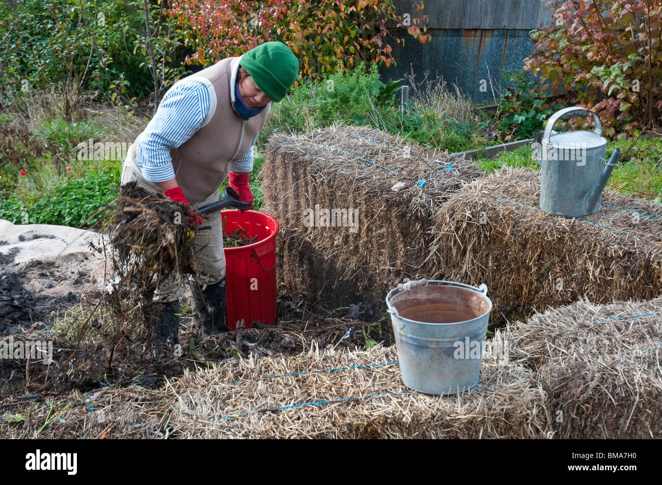 Woman turning a compost heap worm farm set amongst hay bales Stock ...