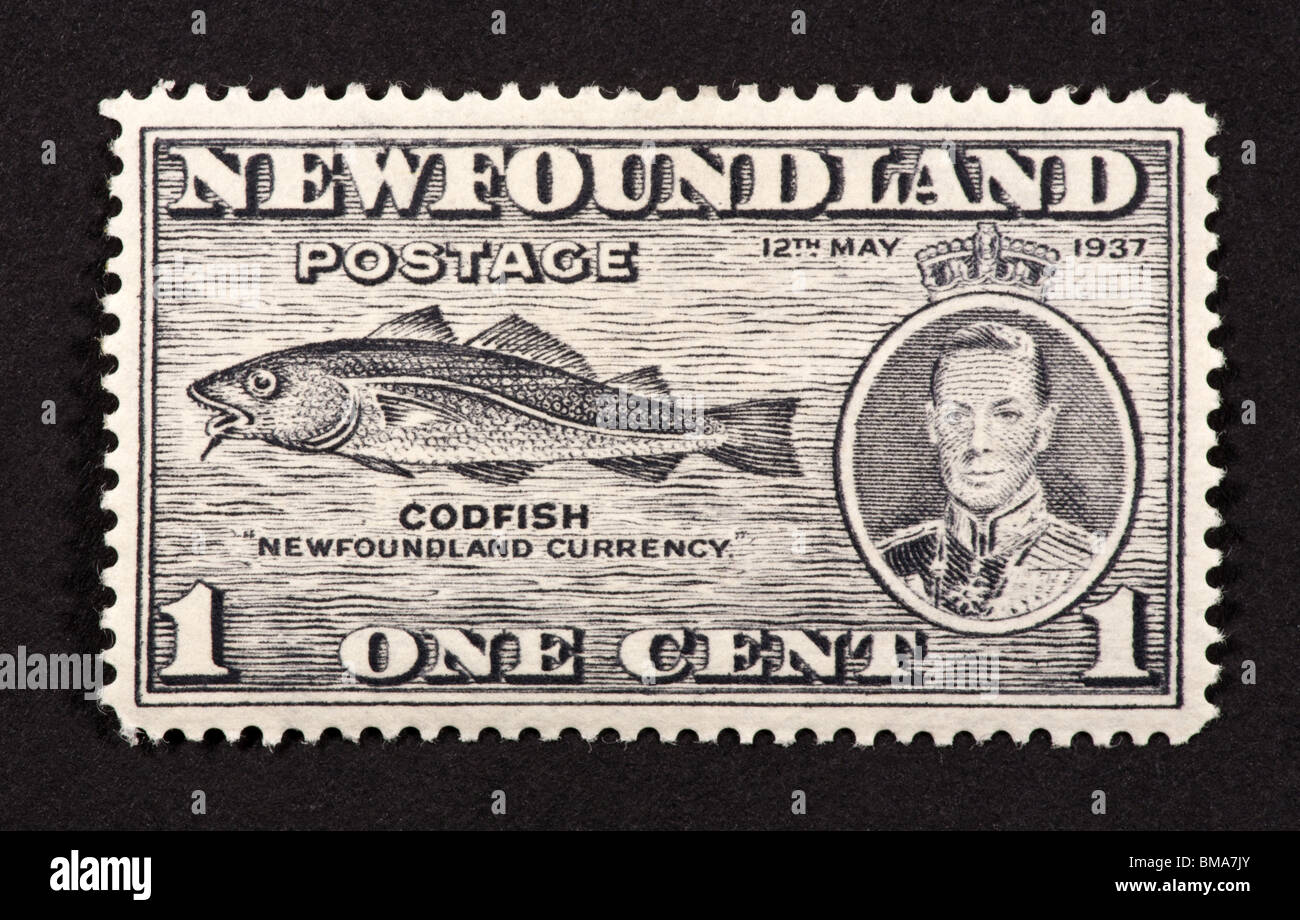 Postage stamp from Newfoundland depicting codfish Stock Photo - Alamy