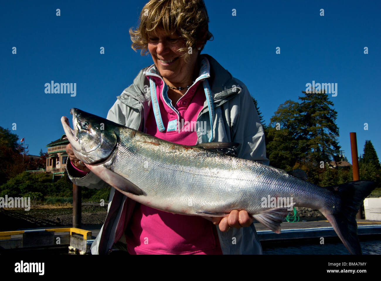 Female angler holding big silver bright autumn chum salmon ...