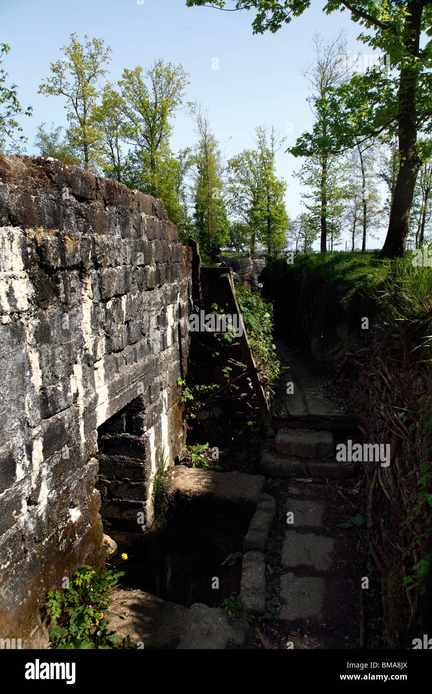 The World War One German 'Bayernwald' trench system near Ypres in ...