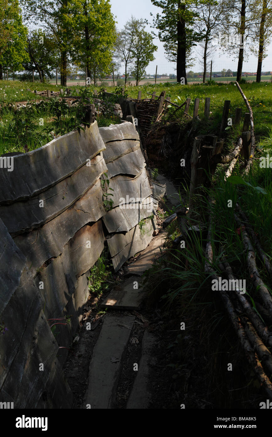 The World War One German 'Bayernwald' trench system near Ypres in ...