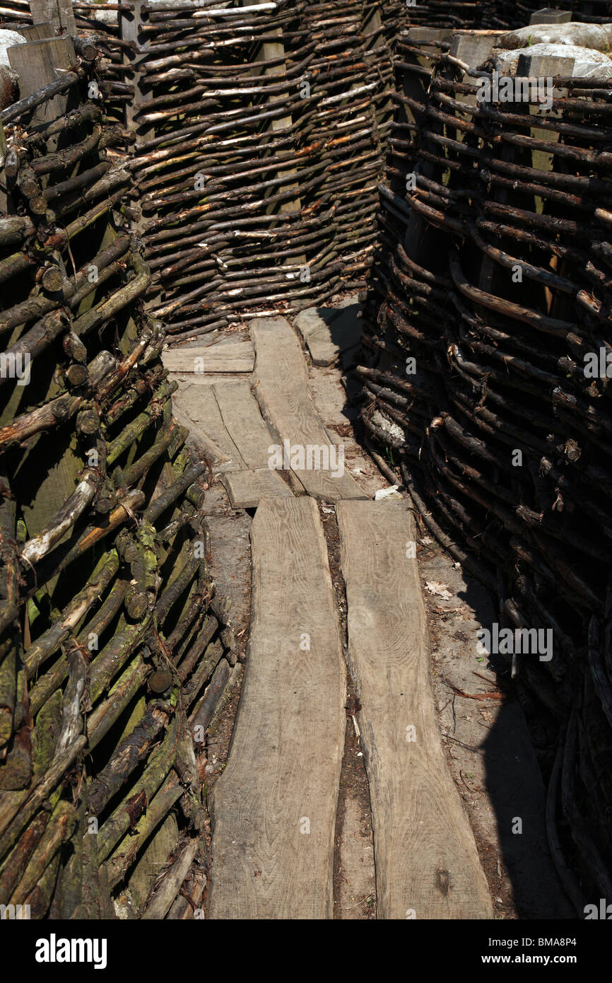 The World War One German 'Bayernwald' trench system near Ypres in ...
