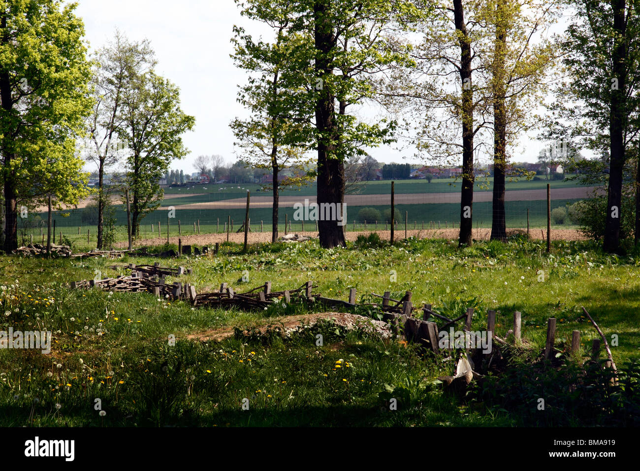 The World War One German 'Bayernwald' trench system near Ypres in ...