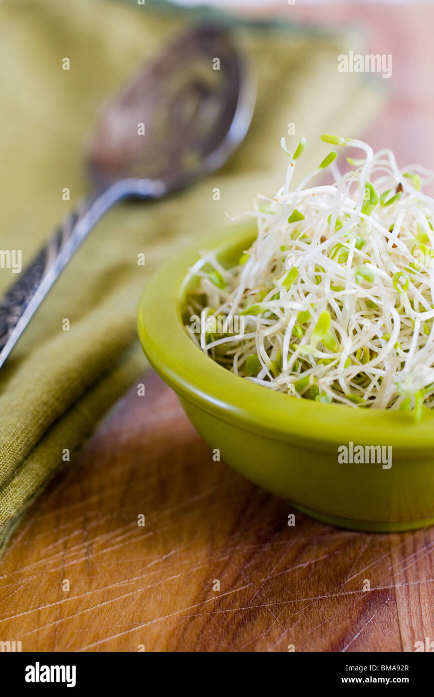 Alfalfa sprout hi-res stock photography and images - Alamy