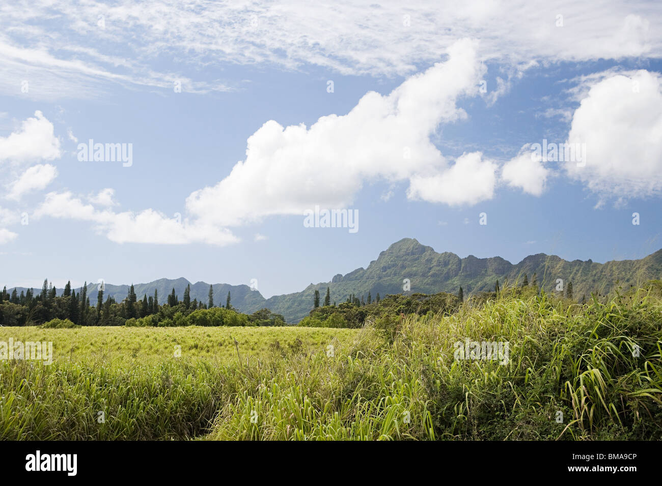 Hawaiian scene hi-res stock photography and images - Alamy