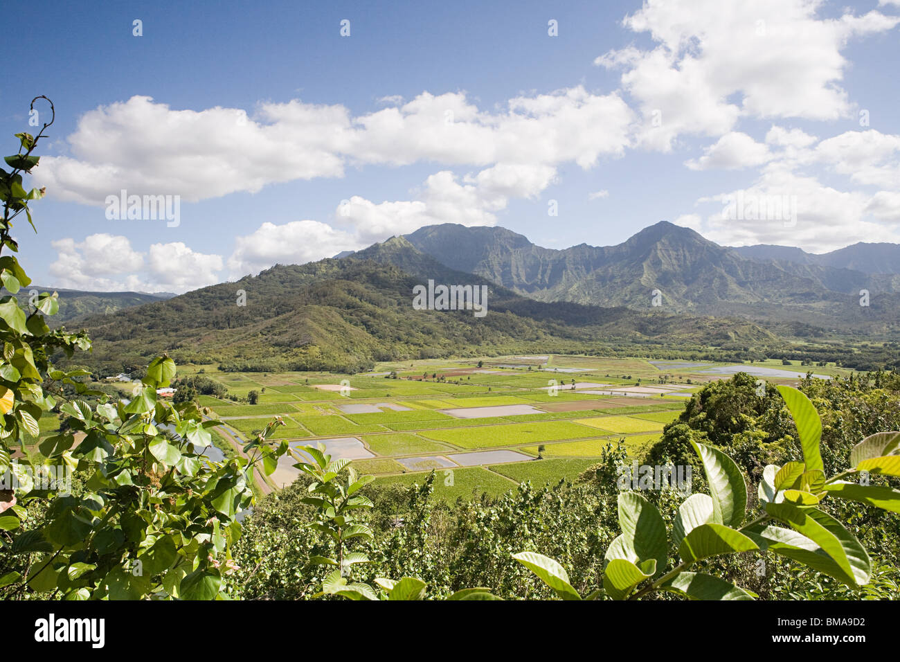 Hanalei valley kauai hi-res stock photography and images - Alamy