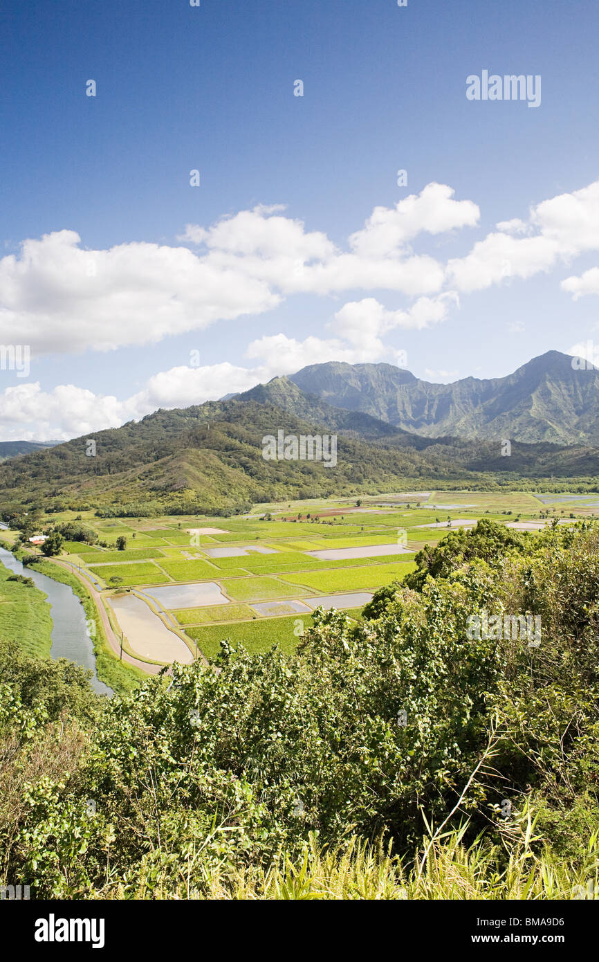Hanalei valley in kauai Stock Photo - Alamy