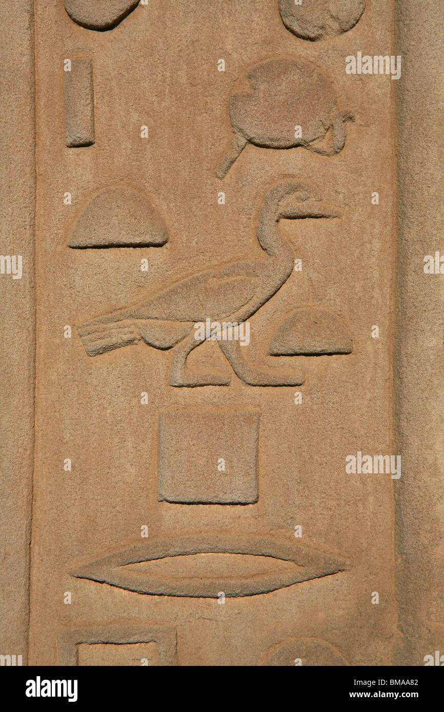 Hieroglyph bird hi-res stock photography and images - Alamy