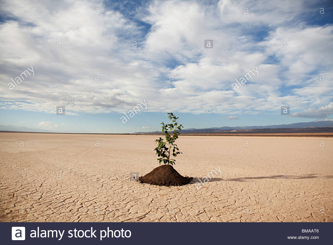 Parched Landscape Drought Stock Photos & Parched Landscape Drought ...