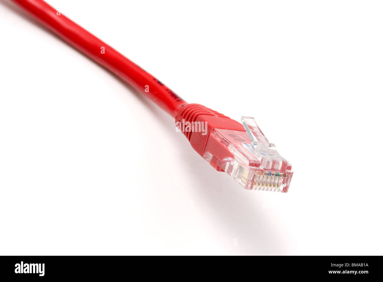Computer Network Cable isolated on white background Stock Photo - Alamy