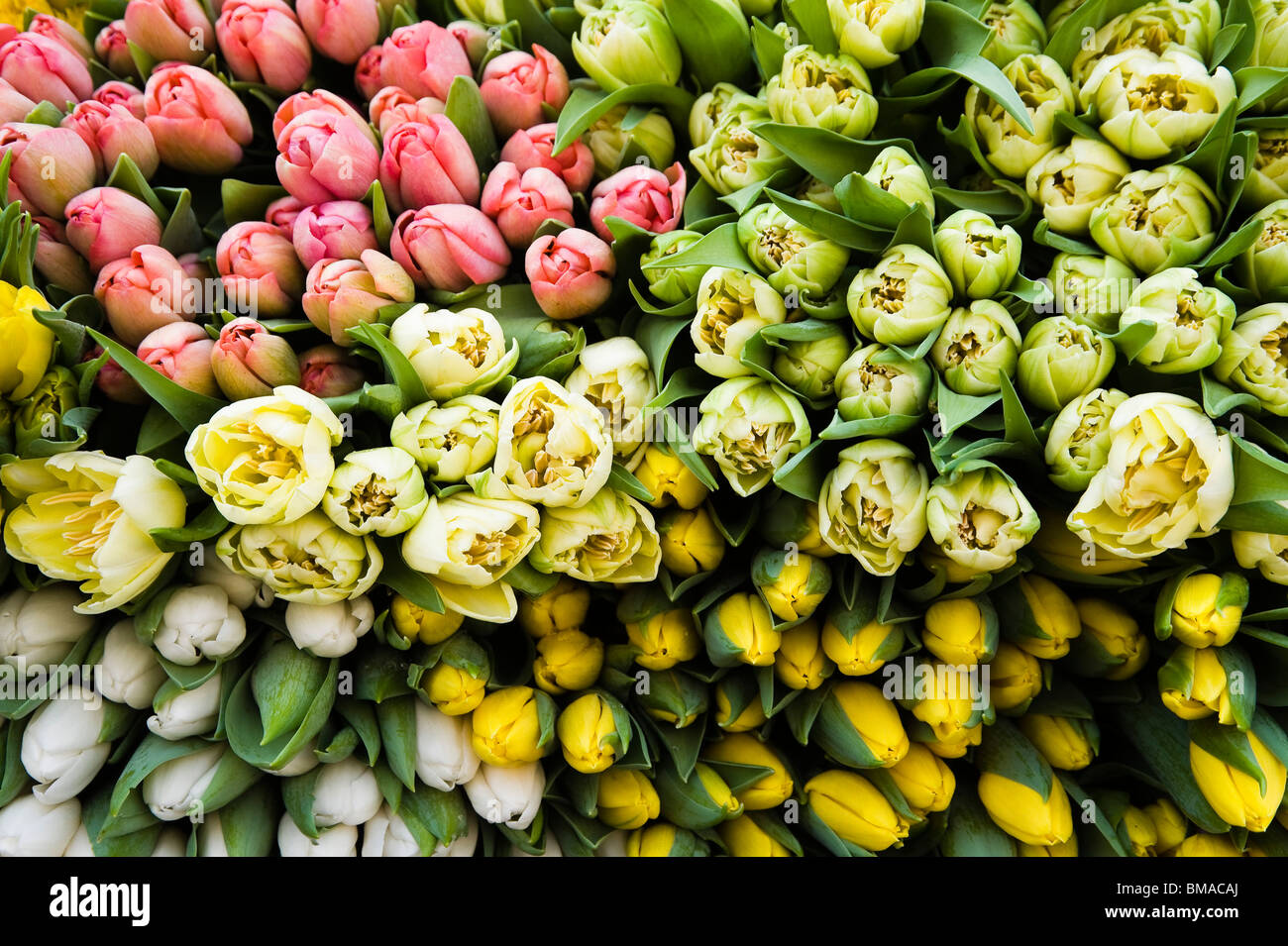 Spring time market hi-res stock photography and images - Alamy