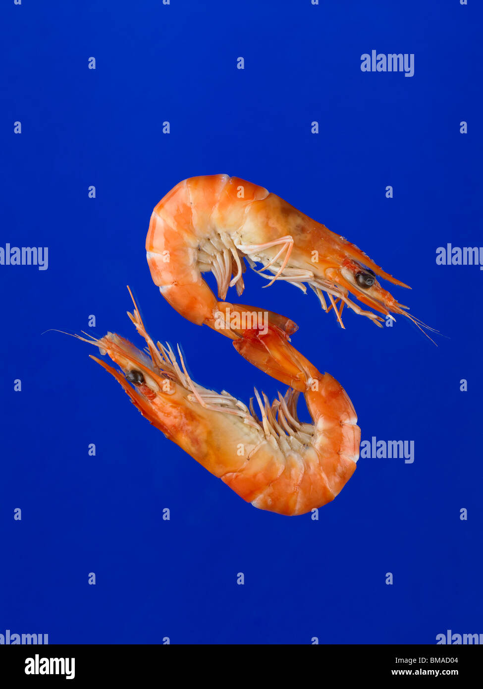 food letter S Stock Photo - Alamy