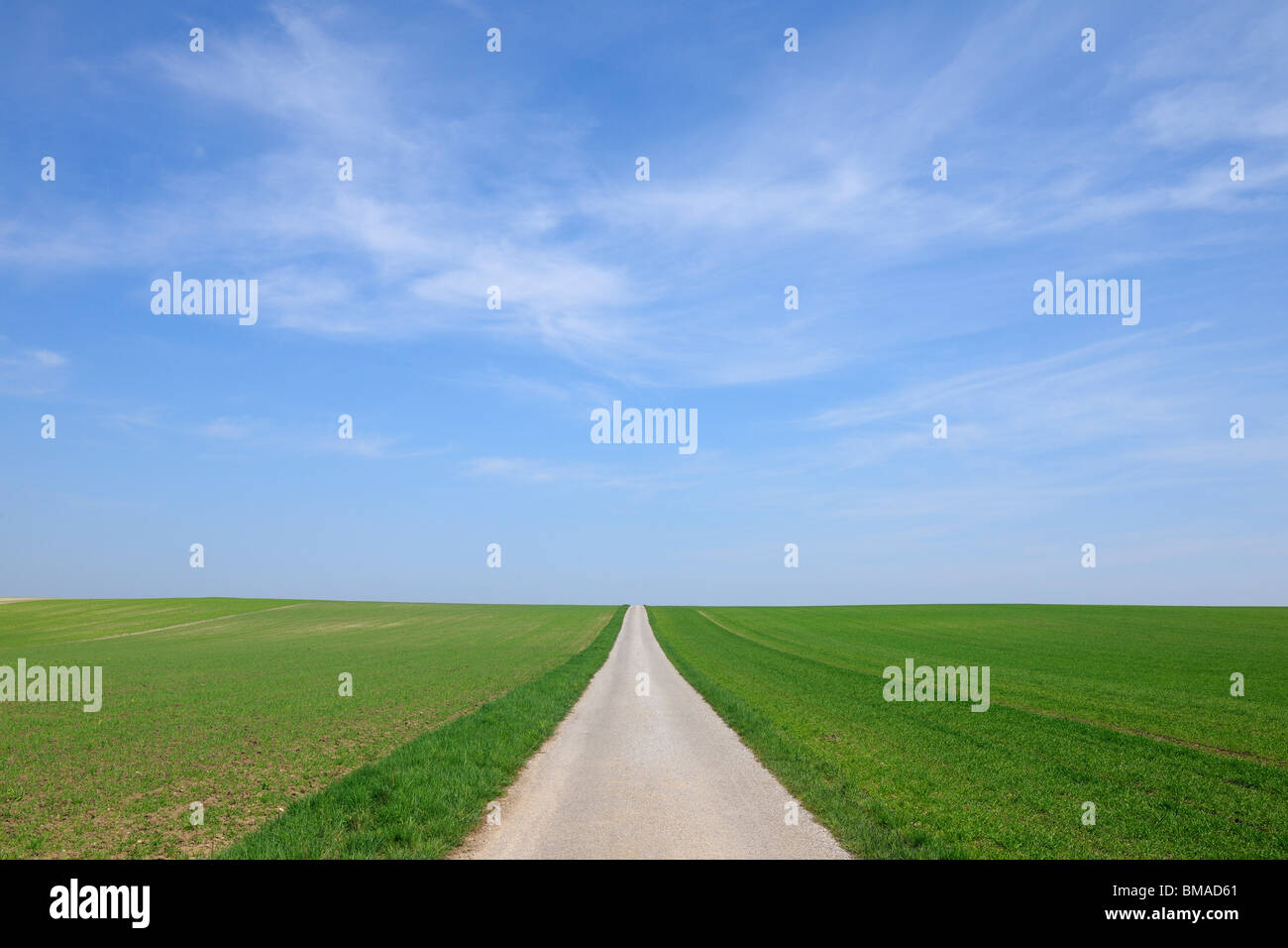 Pathway through cornfield hi-res stock photography and images - Alamy