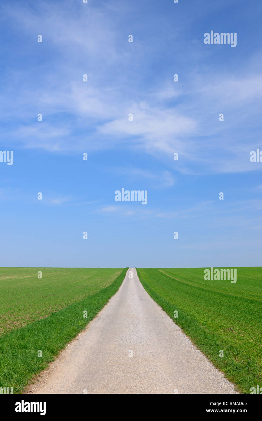 Pathway through cornfield hi-res stock photography and images - Alamy