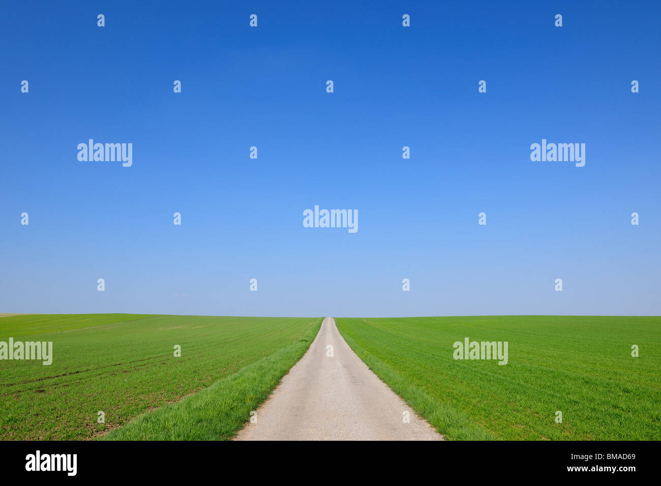 Pathway through cornfield hi-res stock photography and images - Alamy