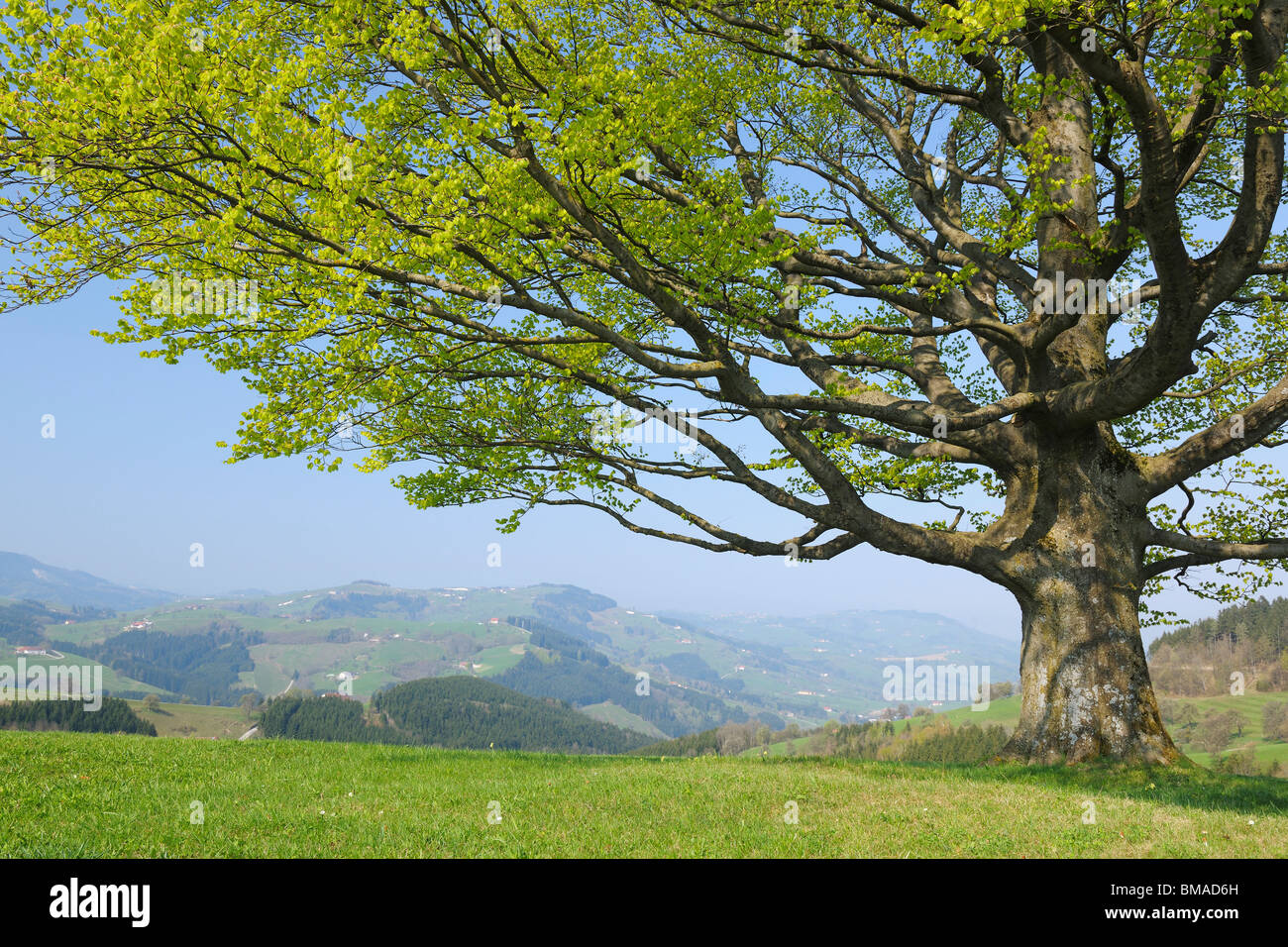 Earth Mountains Images High Resolution Stock Photography and Images - Alamy