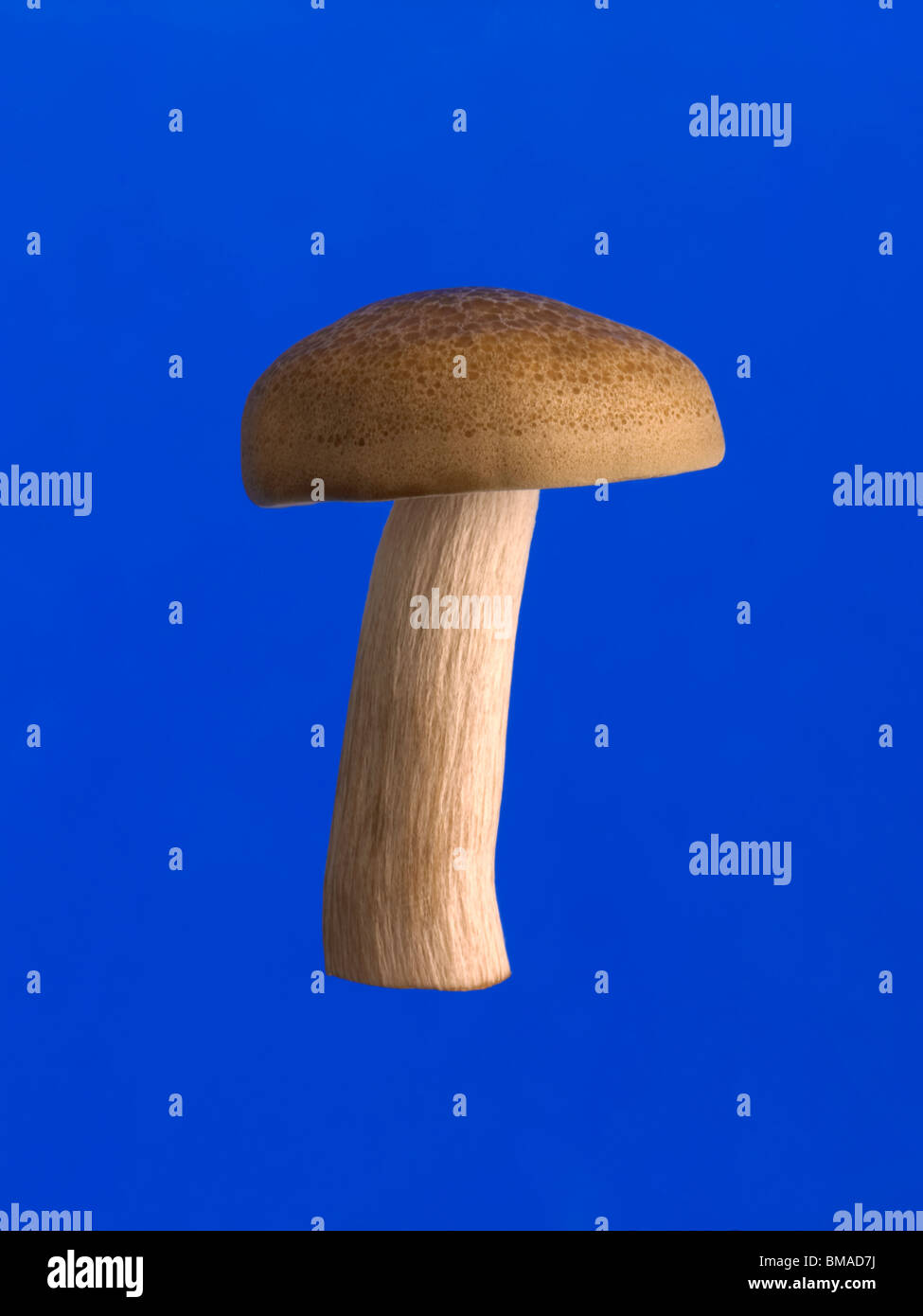 food letter T Stock Photo - Alamy