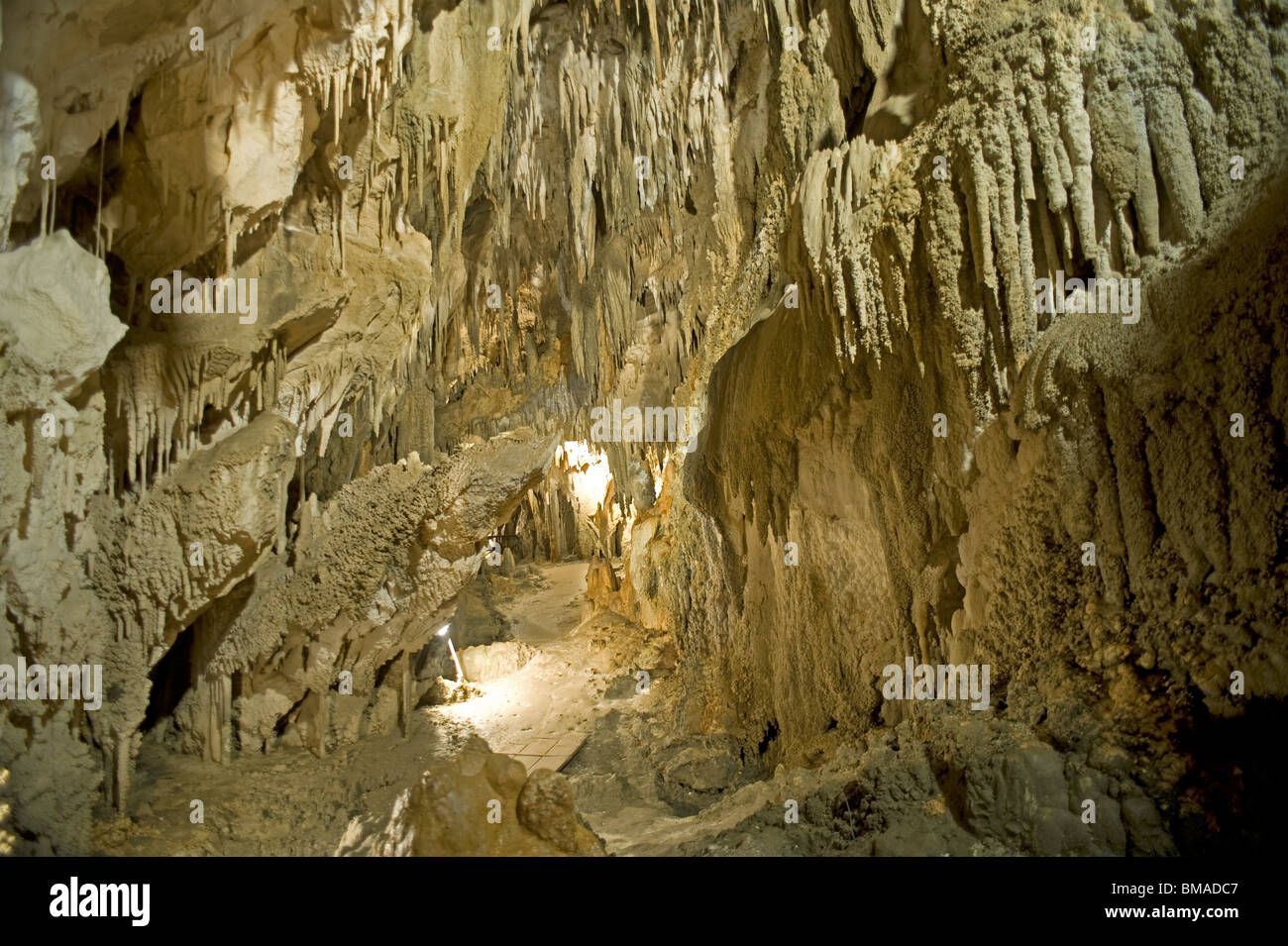 Interior of Cave, Takaka, Golden Bay District, Nelson Region, South ...