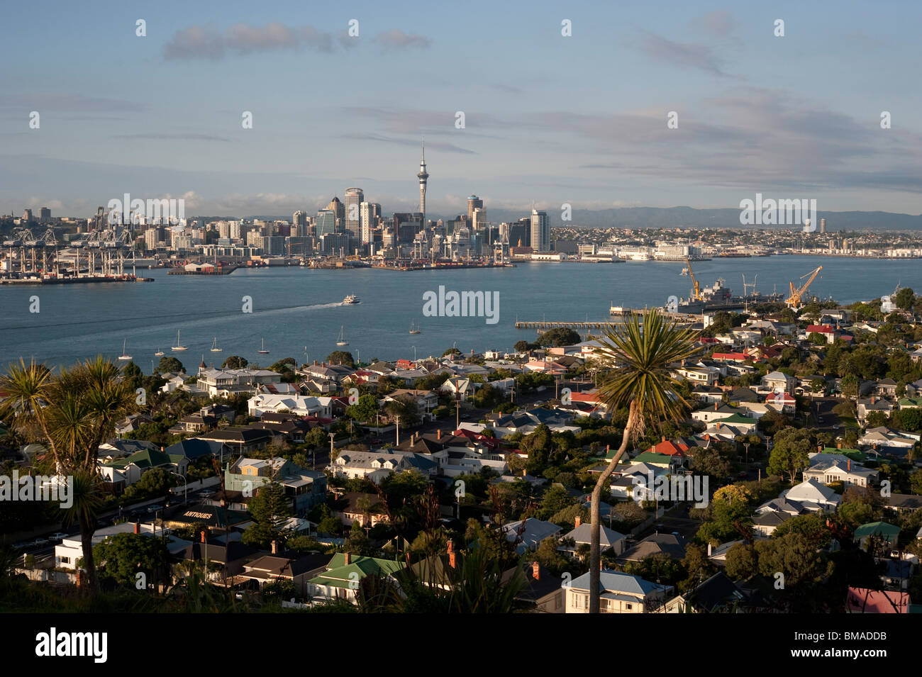 Aerial shot auckland city skyline hi-res stock photography and images - Alamy