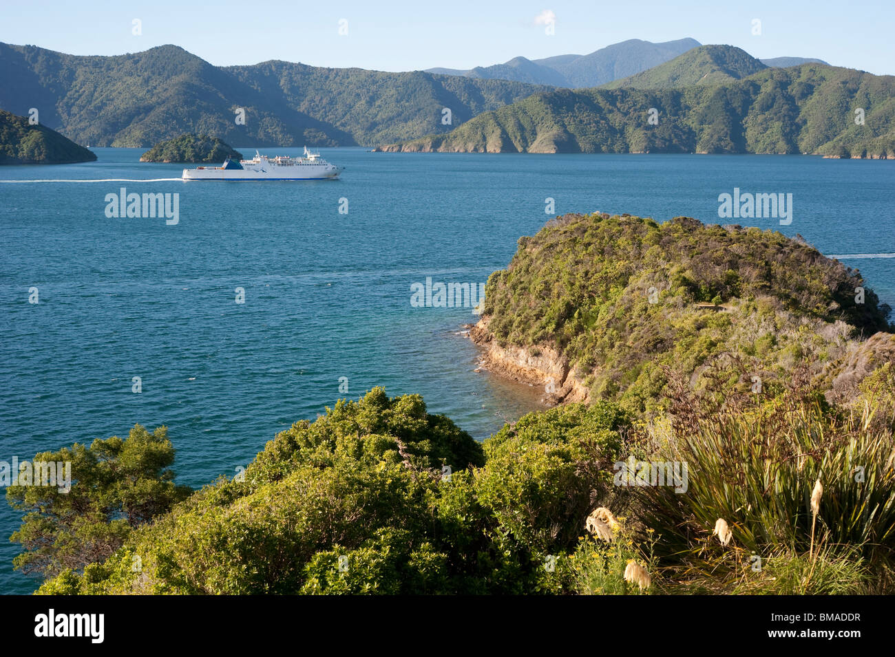 Motuara Island Bird Sanctuary, Marlborough Sounds, New Zealand Stock ...