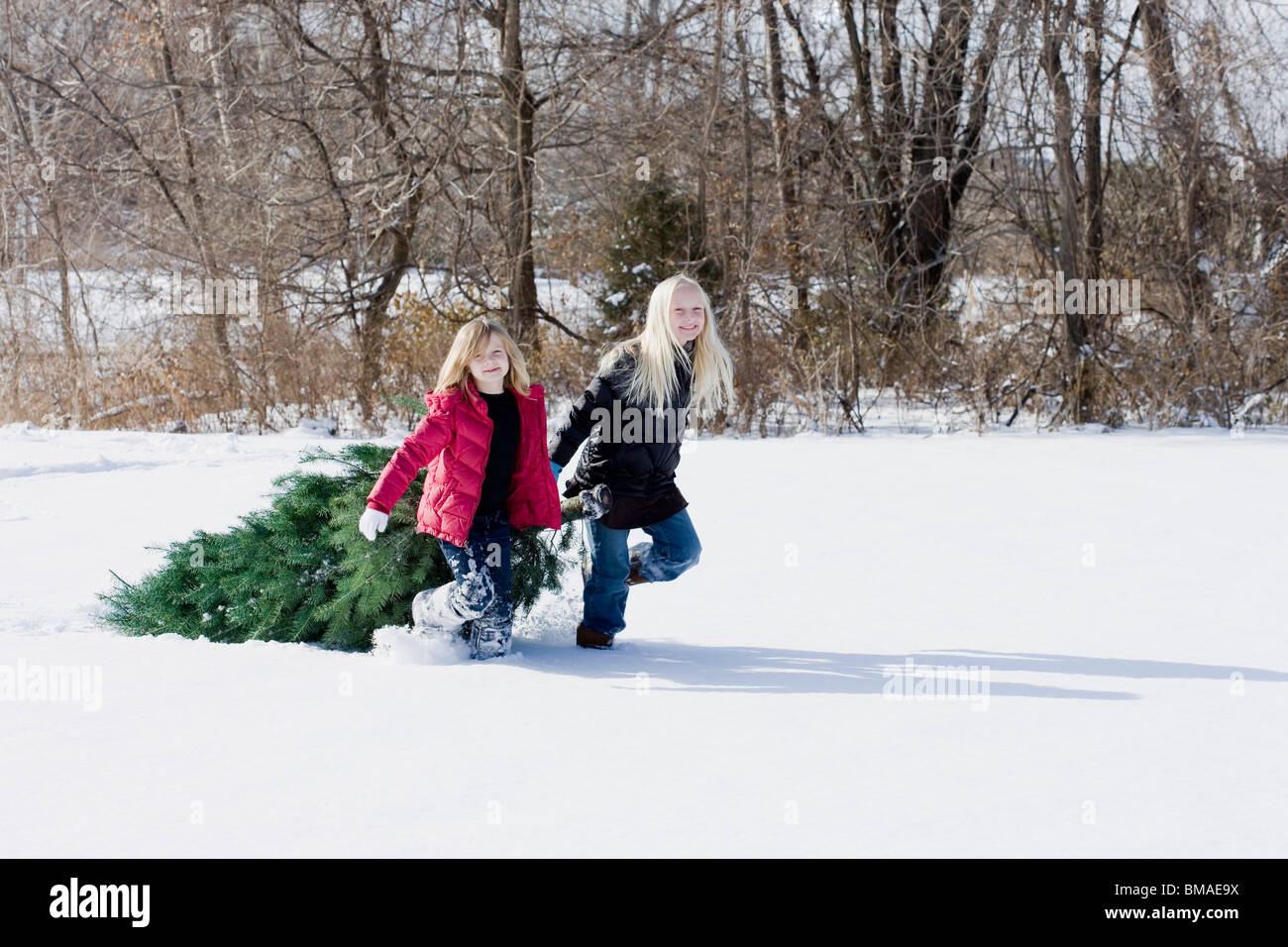 Drag whole body hi-res stock photography and images - Alamy