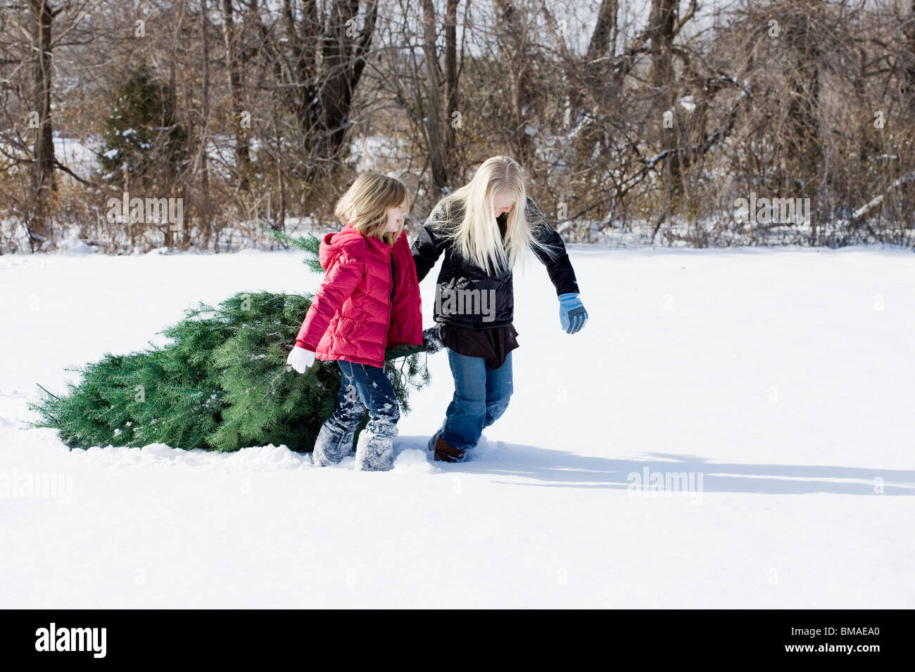 Drag whole body hi-res stock photography and images - Alamy