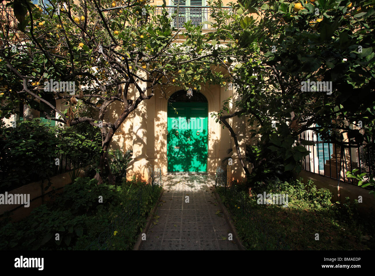 Malta trees hi-res stock photography and images - Alamy