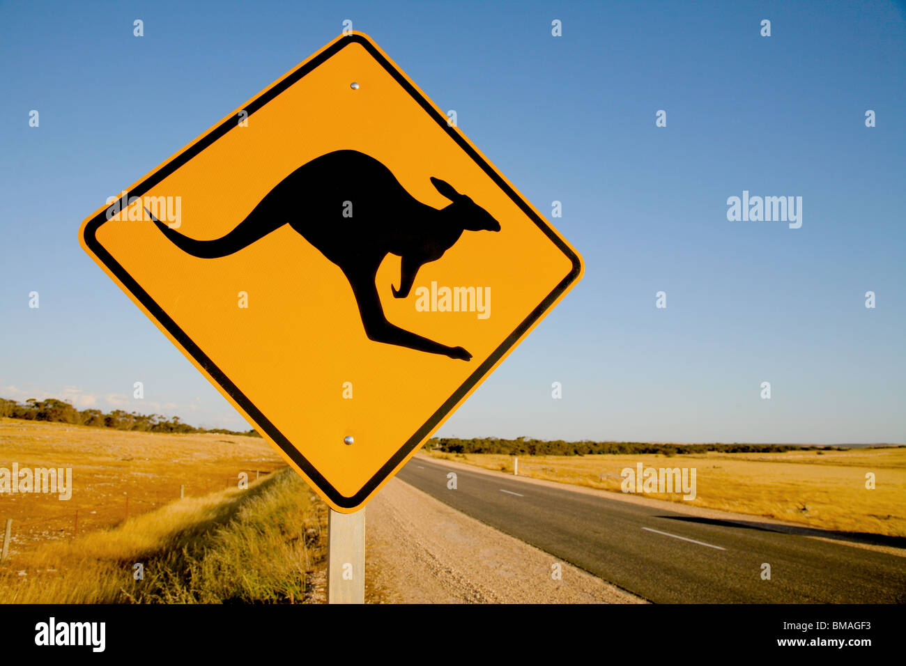 Kangaroo warning sign Australia Stock Photo - Alamy