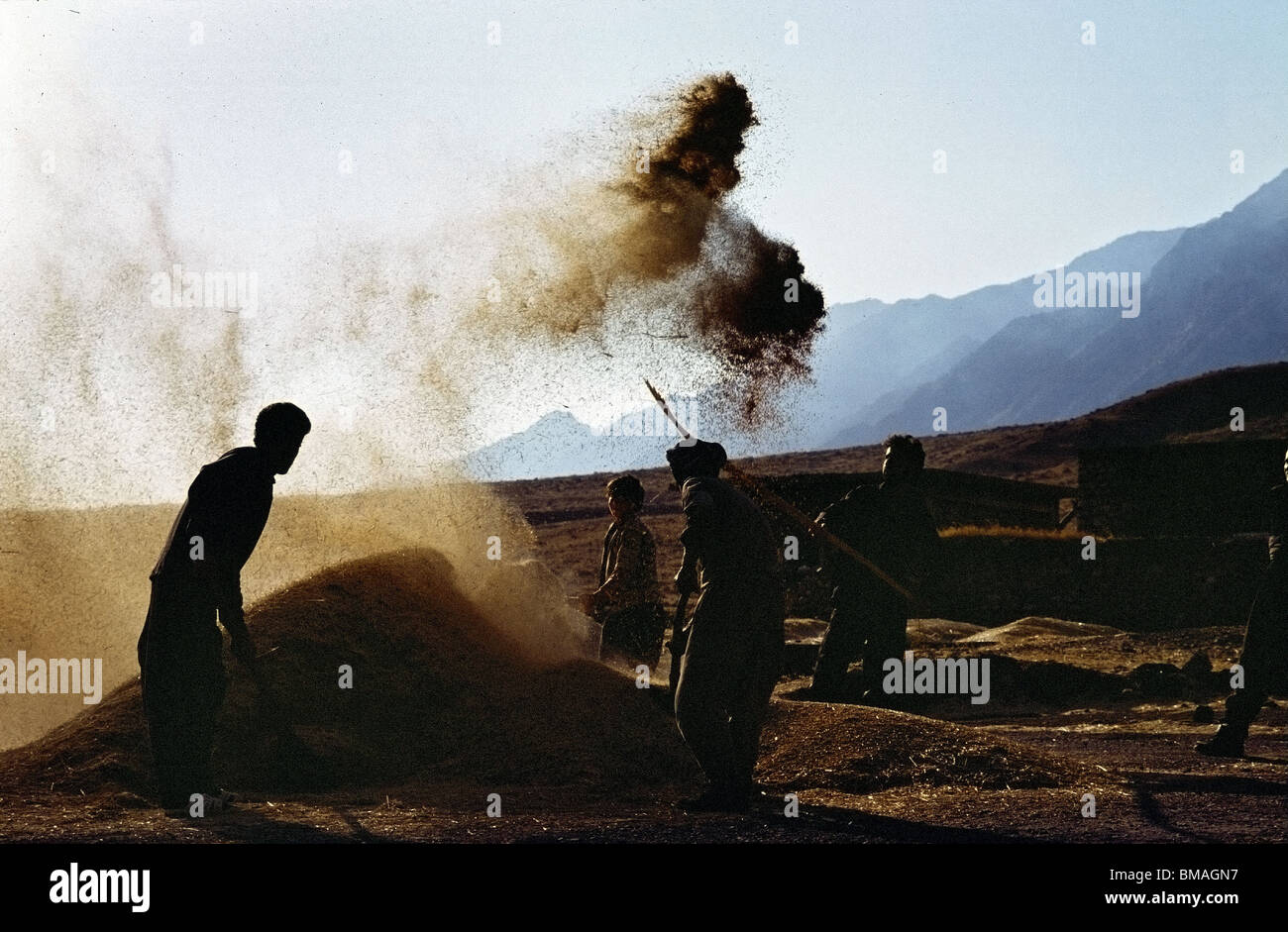 Men threshing hi-res stock photography and images - Alamy