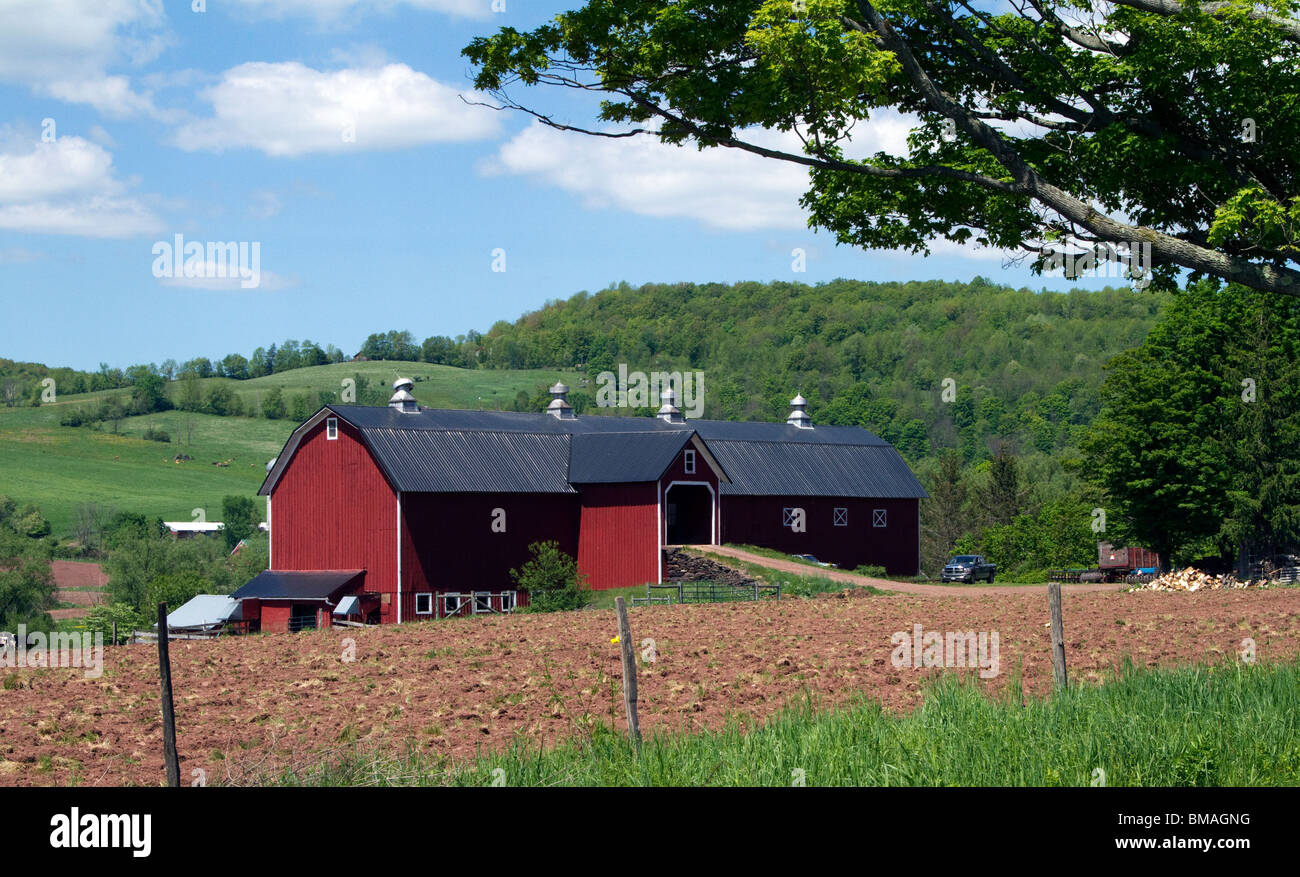 A New York USA farm with a stone ramp Stock Photo - Alamy
