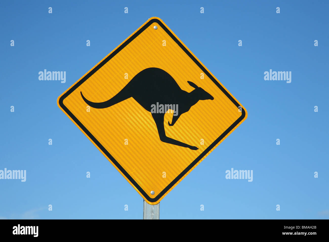 A kangaroo warning sign Australia Stock Photo - Alamy
