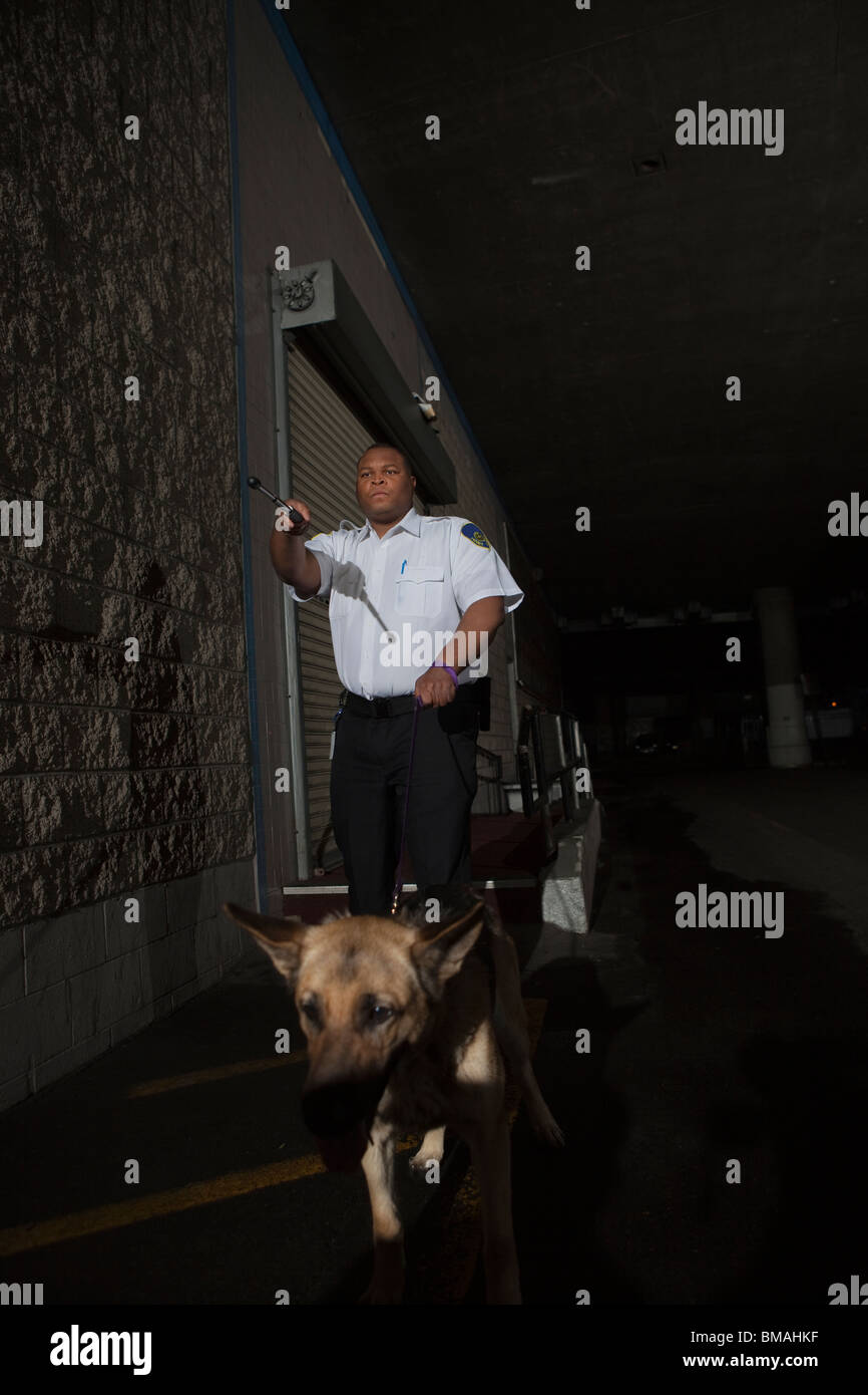 Security guard in alleyway pursuit with guard dog Stock Photo - Alamy