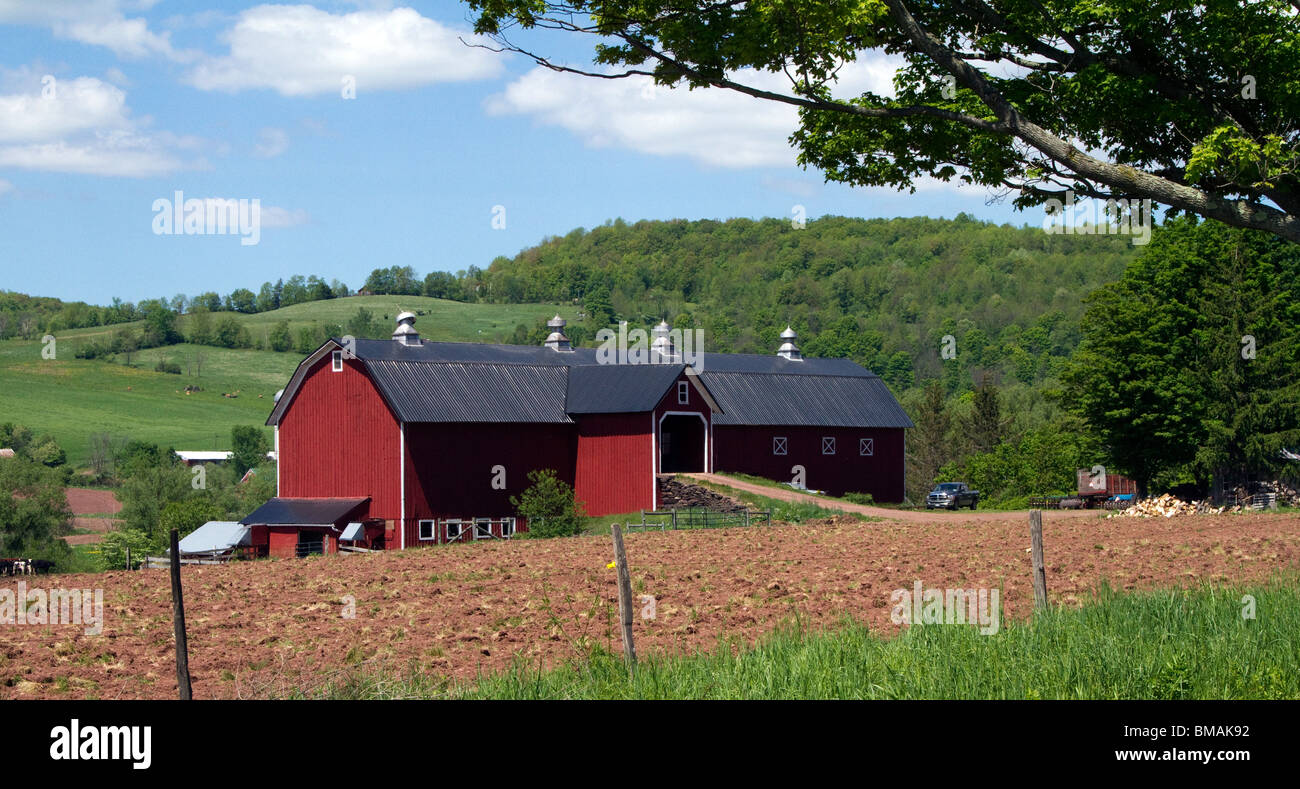 Barn with ramp hi-res stock photography and images - Alamy