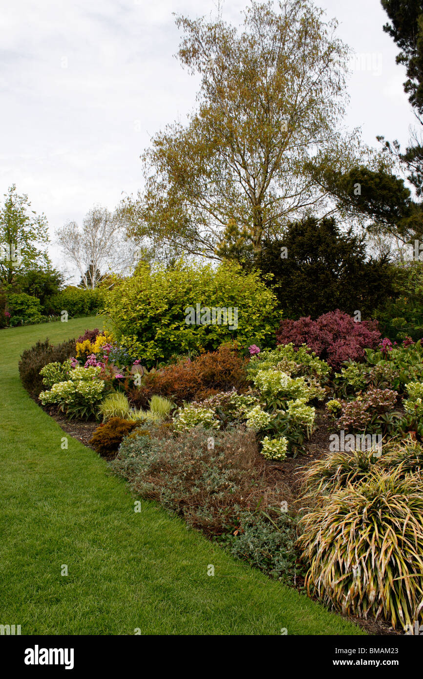 Plants for the shrub border hi-res stock photography and images - Alamy