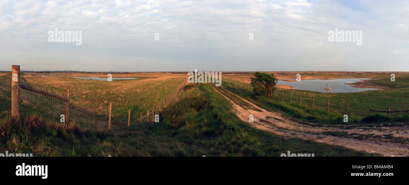 Rye harbour nature reserve path hi-res stock photography and images - Alamy