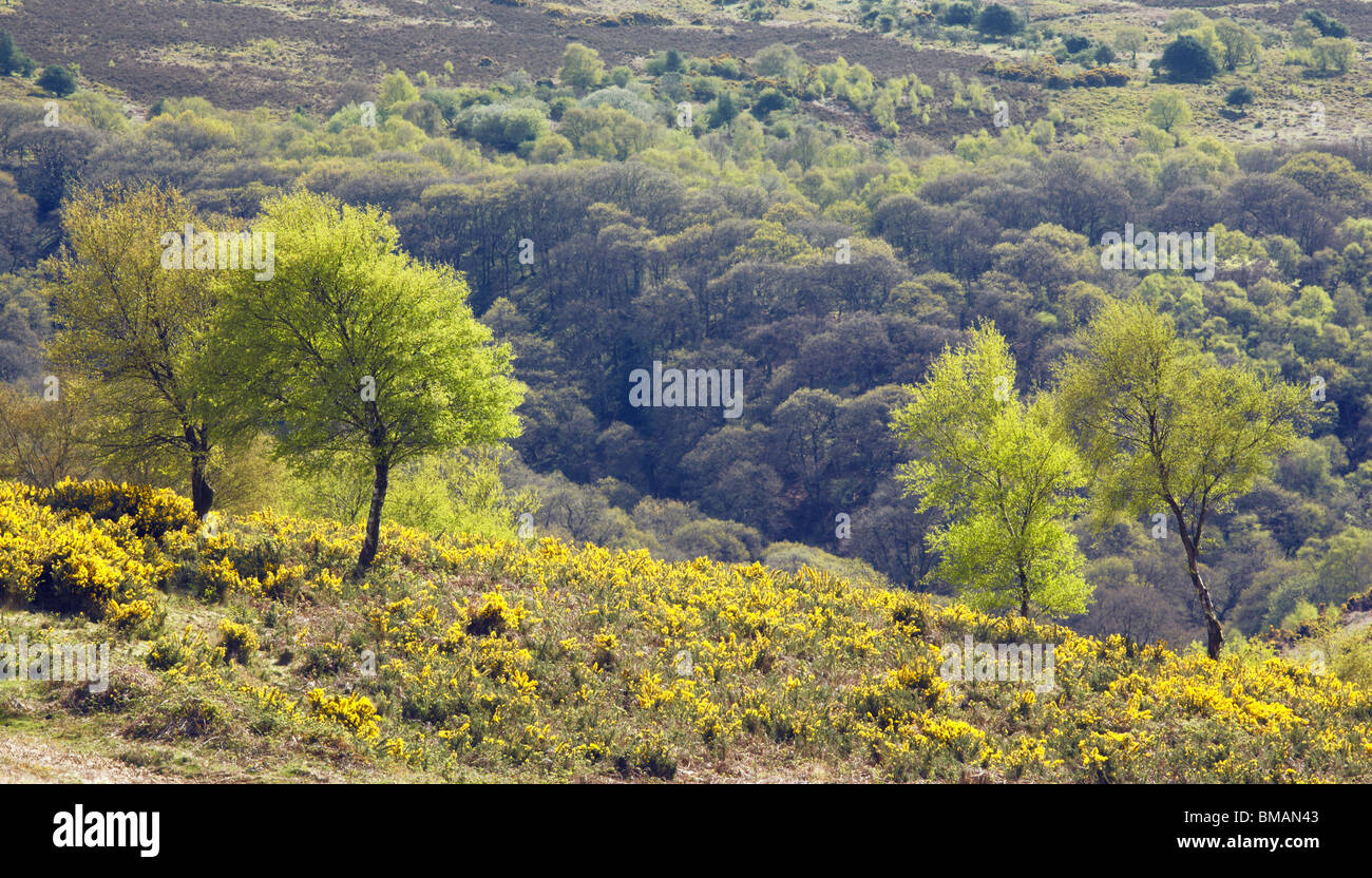 Webbers post hi-res stock photography and images - Alamy