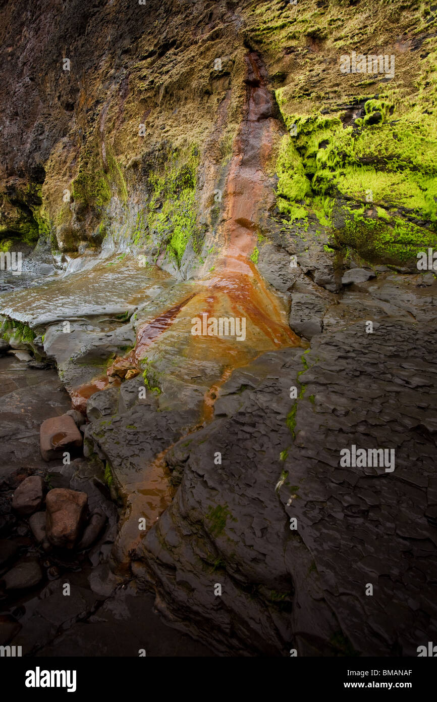 Coastal Rocks Under Hunt Cliff at Saltburn-by-the-Sea, Cleveland ...