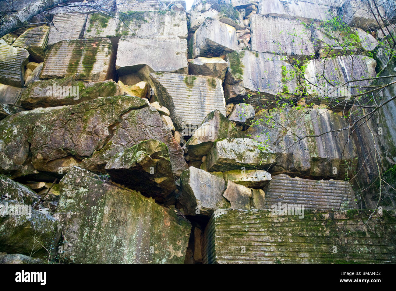 Abandoned marble quarry at Ijams Nature Center, Knoxville, Tennessee ...